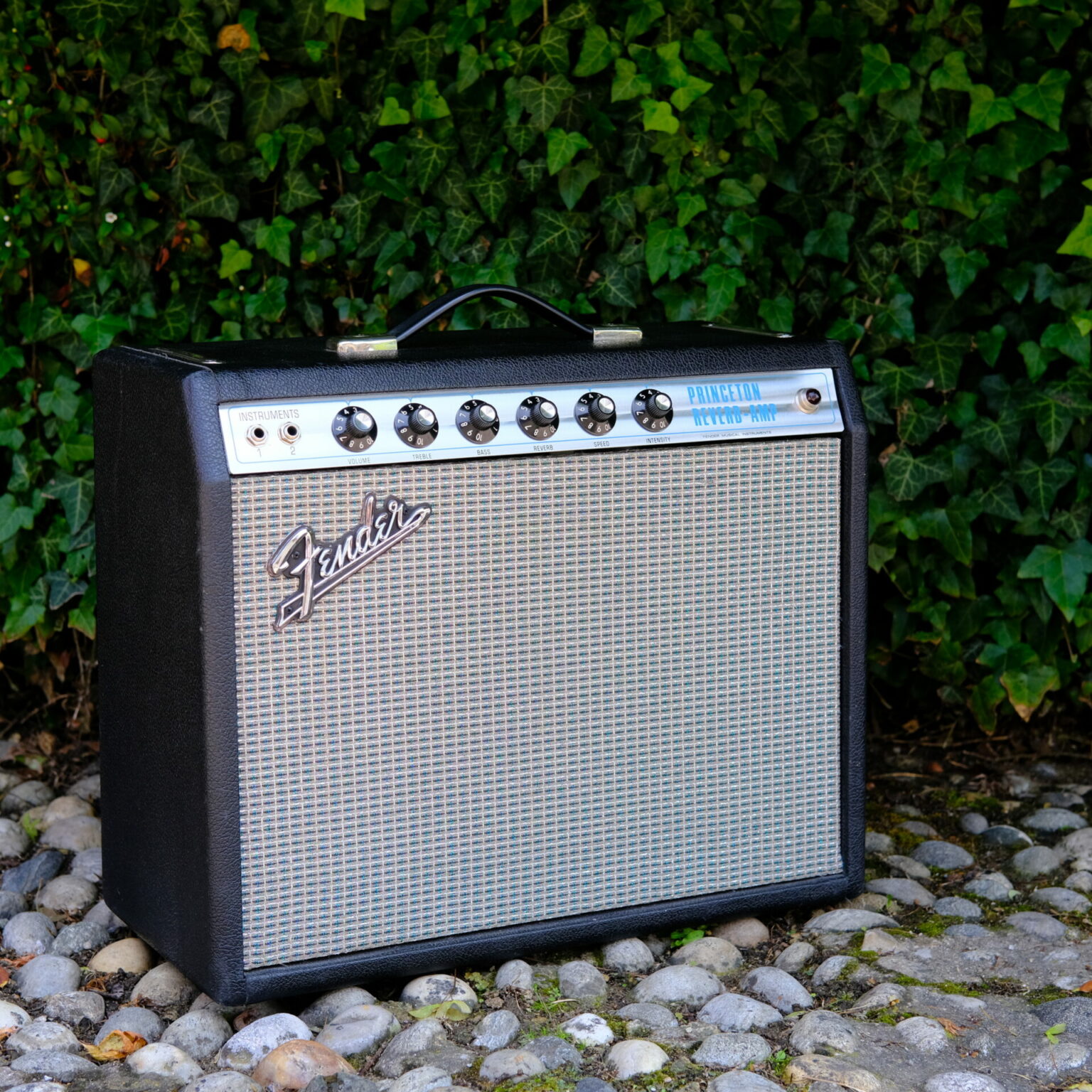 1971 FENDER PRINCETON REVERB SILVERFACE - Fandango Guitars